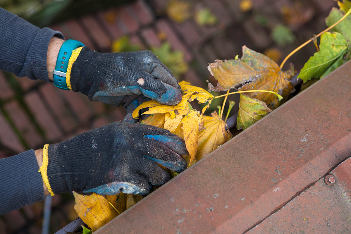 high-level-gutter-cleaning-hb-cleaning-north